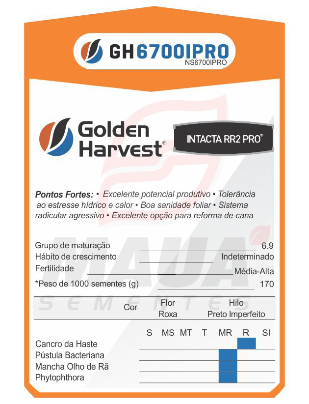 Nossos Produtos – golden harvest – Sementes Mauá